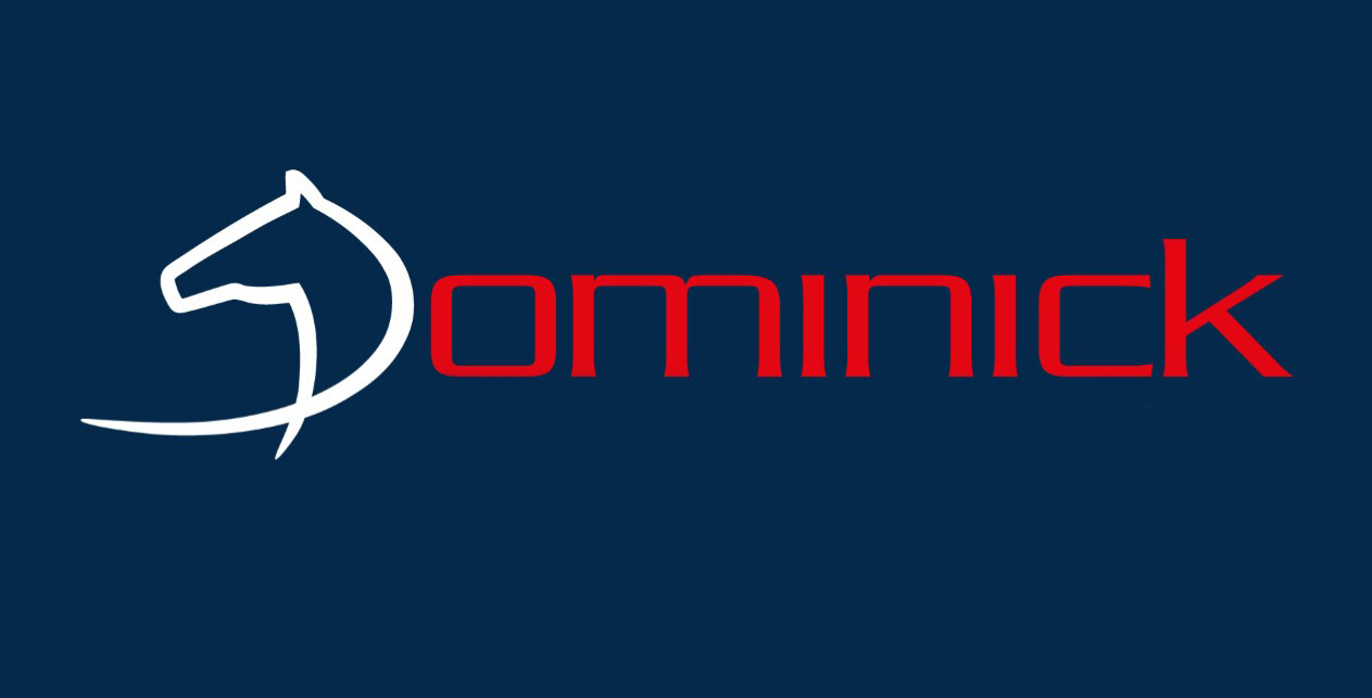 Dominick Golden Stripe Wollen deken - DocHorse