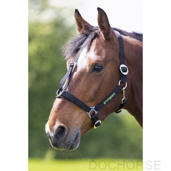Shires Greenguard Halster - DocHorse
