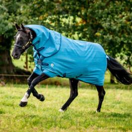 Amigo Hero 900 Revive Plus 200gr - DocHorse