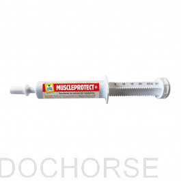 Vitalstyle Muscleprotect+ Pasta - DocHorse