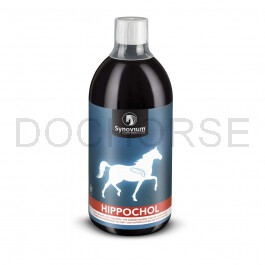 Synovium Hippochol / Sedochol - DocHorse
