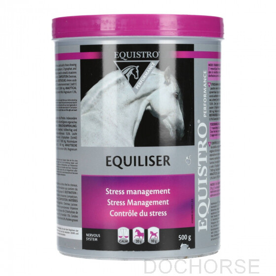 Equistro Equiliser - DocHorse