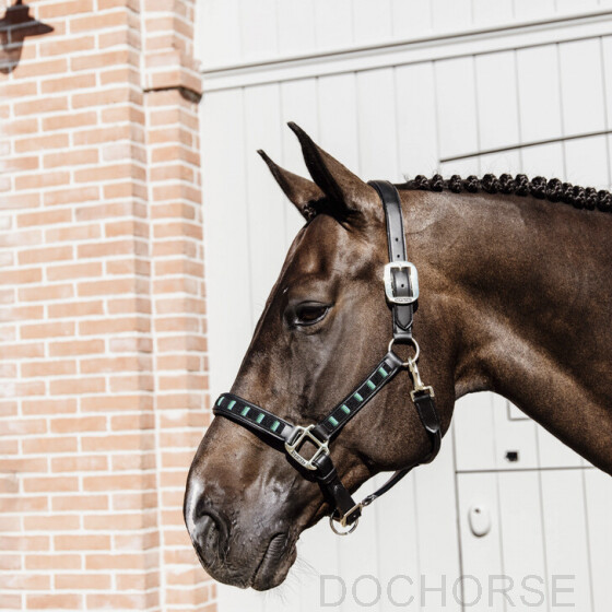 Kentucky Halster met Pearls - DocHorse